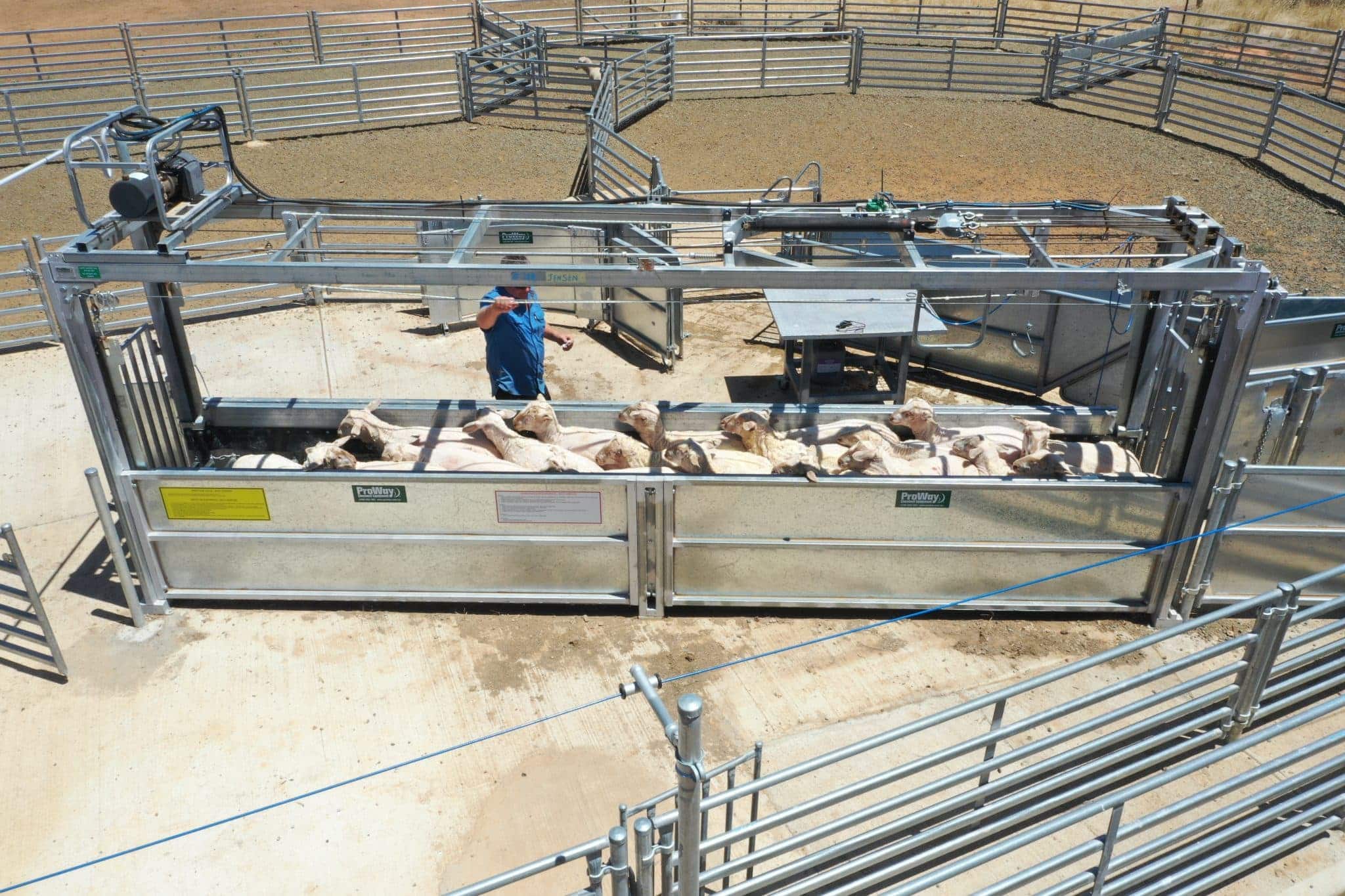 ProWay - Case Study - Simple Pixels