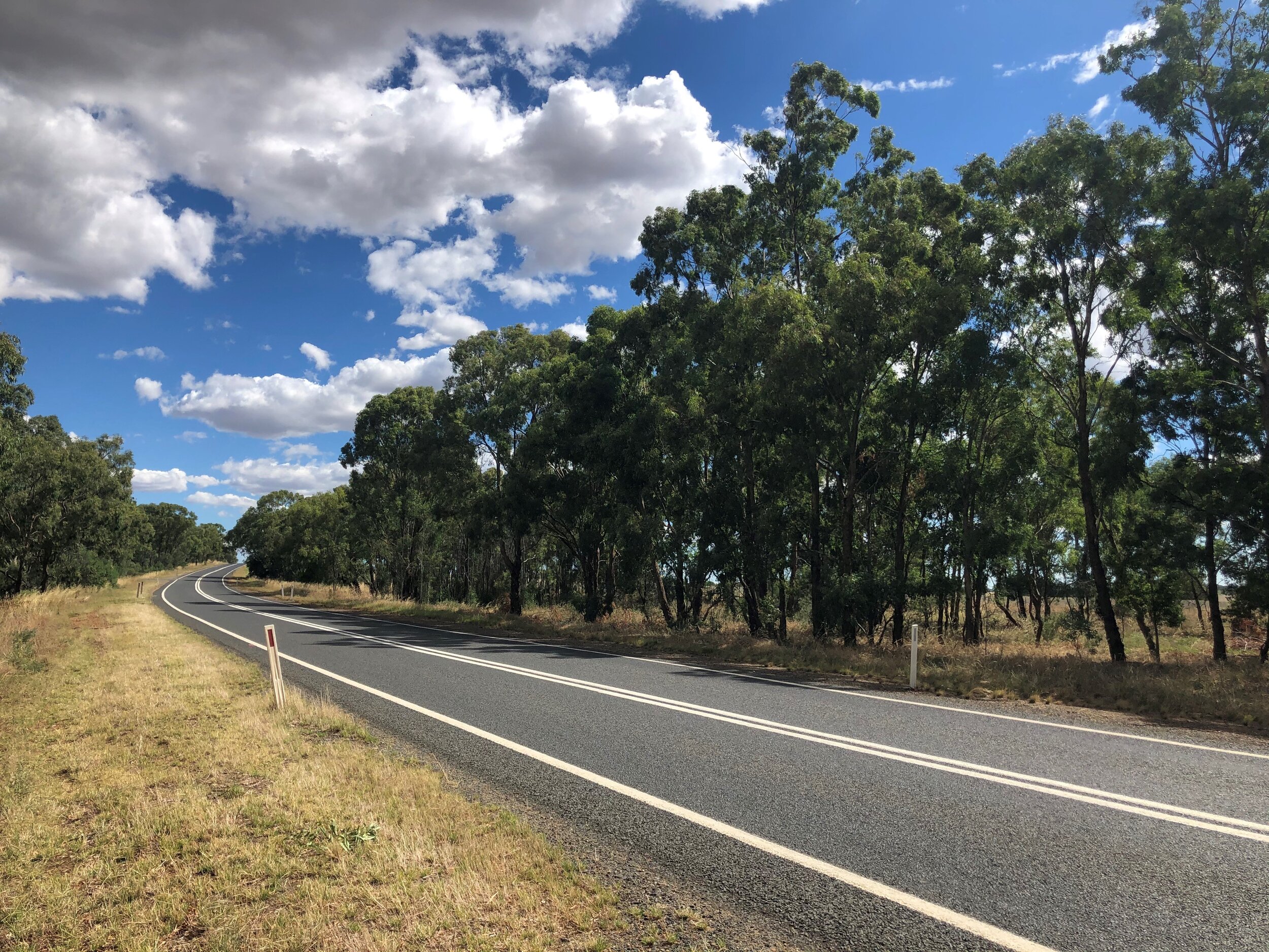 Michael McCormack MP - Case Study - Simple Pixels